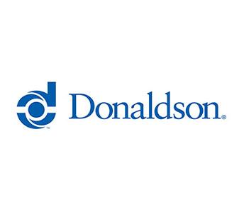 FILTRO DE AIRE PRIMARIO INTERNATIONAL DONALDSON P643132 – Bpartes ...